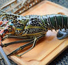 Buy Live Rock Lobster Online At Ninja Food Singapore
